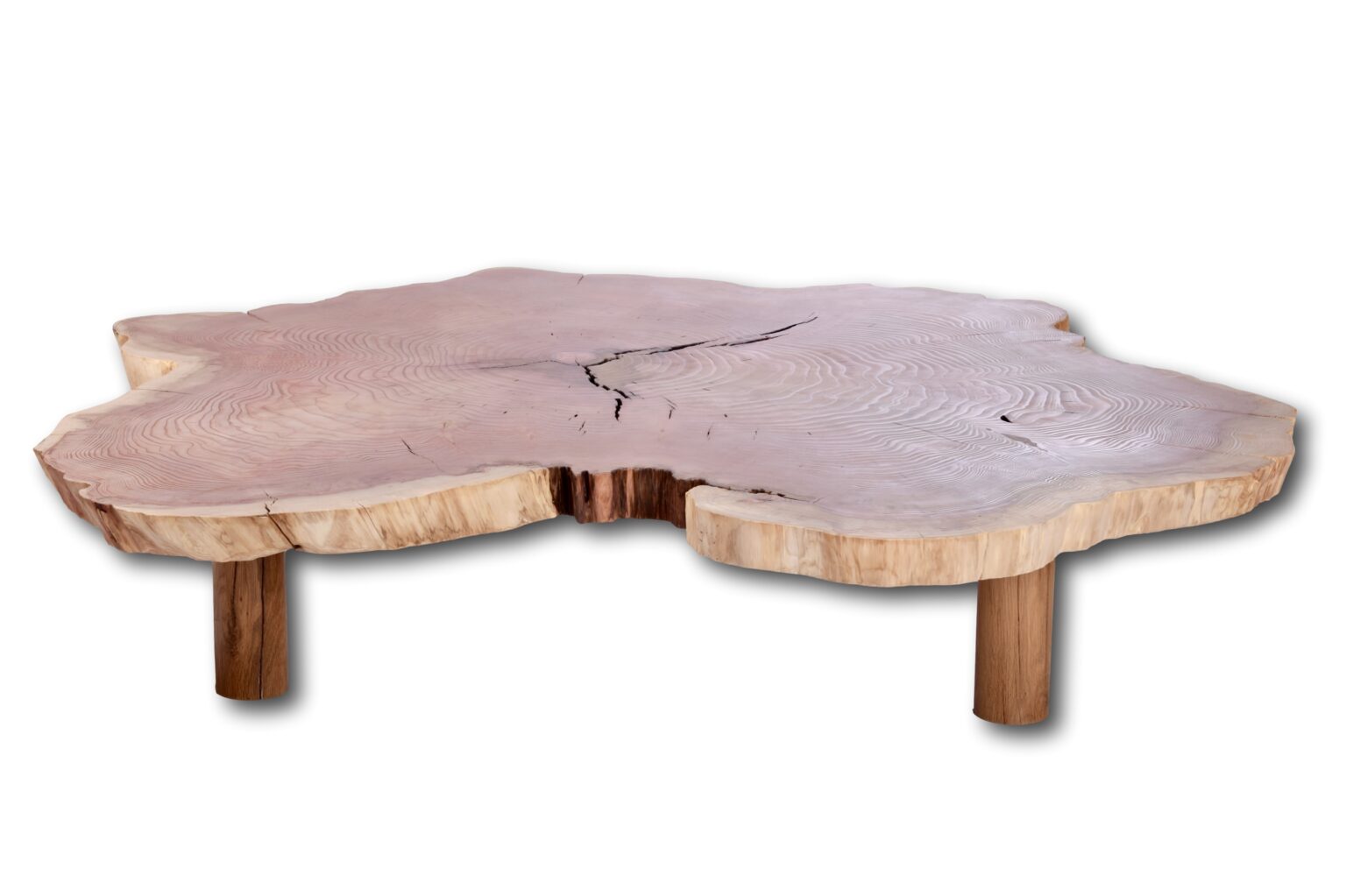 Grande table basse tronc d'arbre 'BIG COOKIE' Penone Design