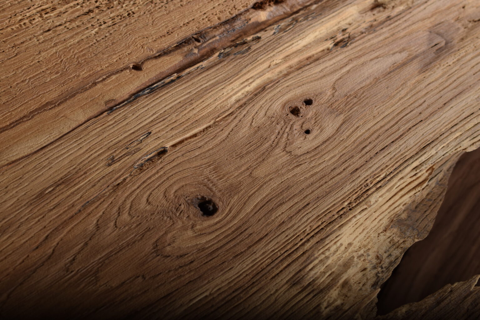 Table basse racine tronc 'NIAGARA' Penone Design